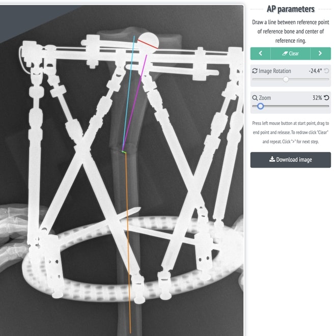 Spider Frame